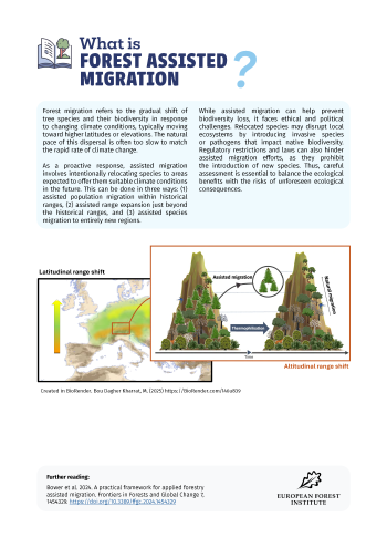 "What is" series | European Forest Institute